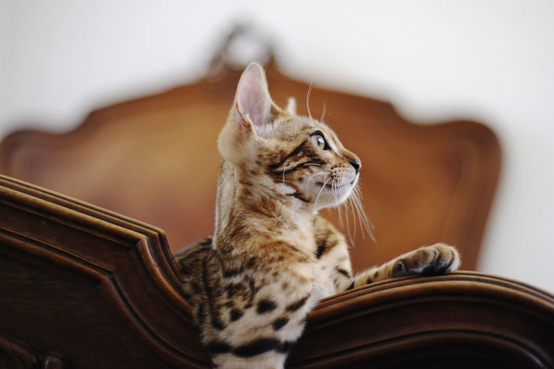 Low Angle Close-Up pictures | Curated Photography on EyeEm